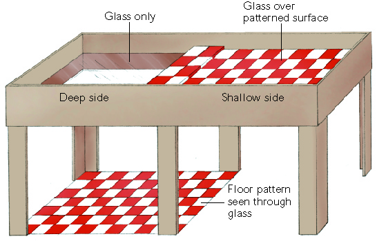 Are Humans Born With Fears? | SiOWfa16: Science in Our World: Certainty ...